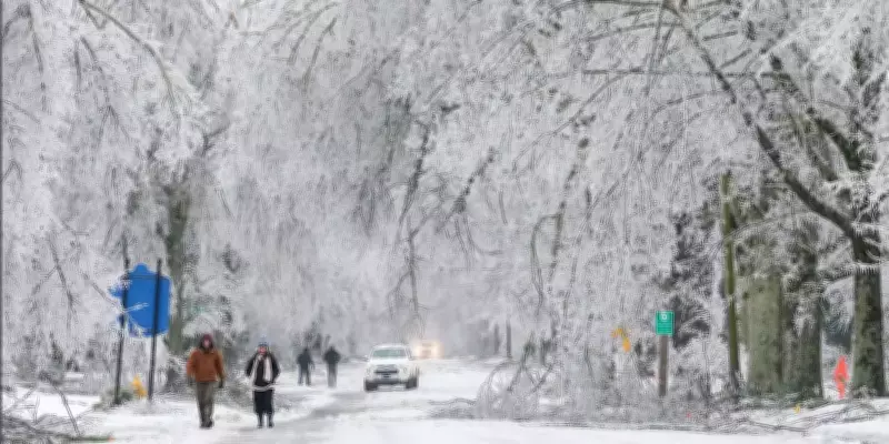 US Monster Winter Storm Death Toll Surpasses 30, Over 200M Under Severe ...